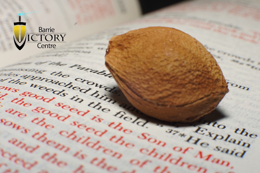 Healing & Incorruptible Seed Pt 1 | BARRIE VICTORY CENTRE