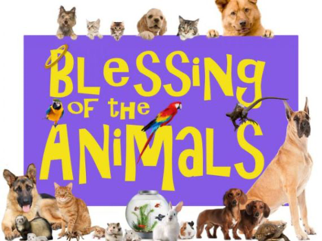 Animal Blessing Sunday: Let the Animals Teach Us | Claremont United ...