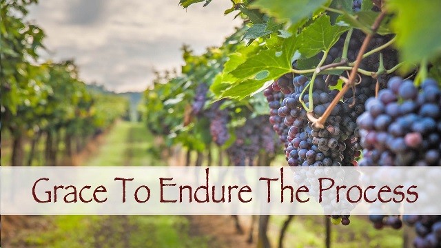 GRACE TO ENDURE THE PROCESS | Firecast: With Alexander & Sandra Sarraga