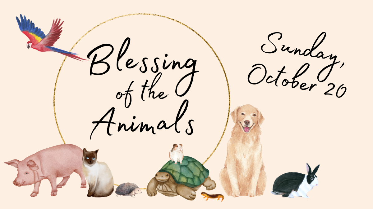 The Blessing of the Animals | Claremont United Church of Christ