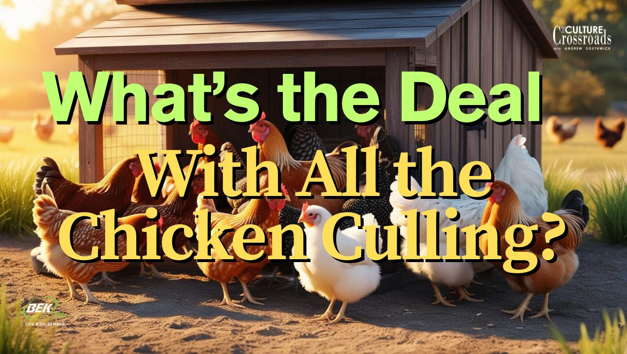 Whats the Real Deal Behind All the Animal Culling? | Culture Crossroads