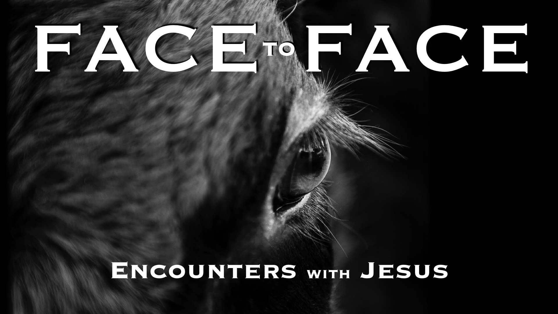 FACE TO FACE week 2 | No Fences Cowboy Church Podcast