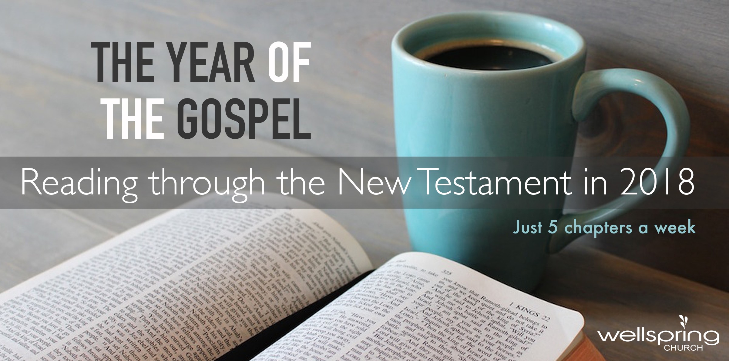 Revelation 13-18 The Great Tribulation part 2 | WellSpring's Podcast