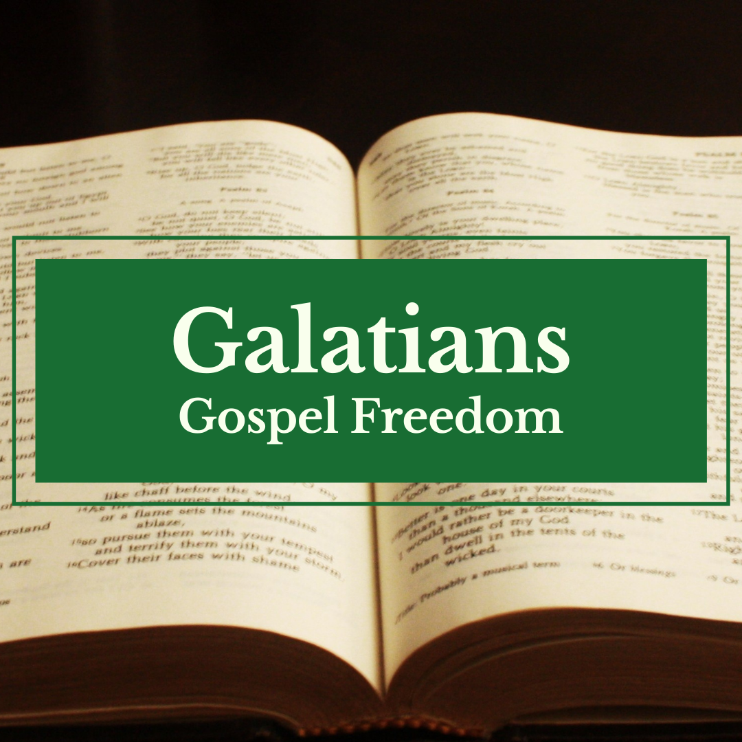 Your Promised Heritage | Arden Presbyterian Church