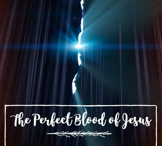 The perfect blood of Jesus-Jan 14th, 2018 | New Life Victory Fellowship