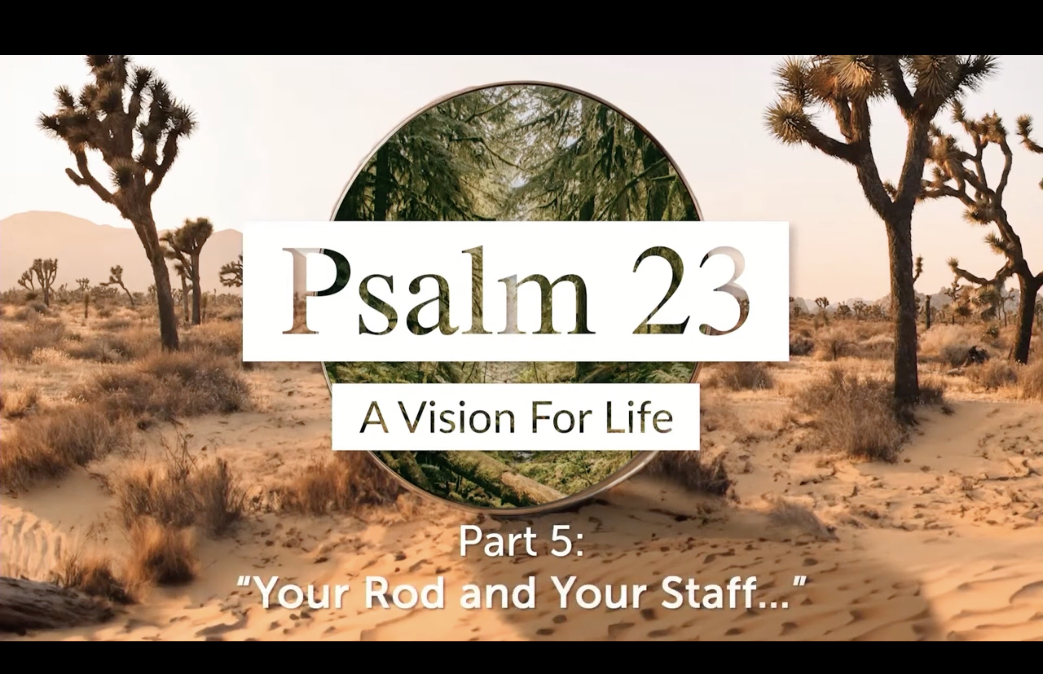 Psalm 23 - A vision for life Part 5: "Your Rod and Your Staff ...