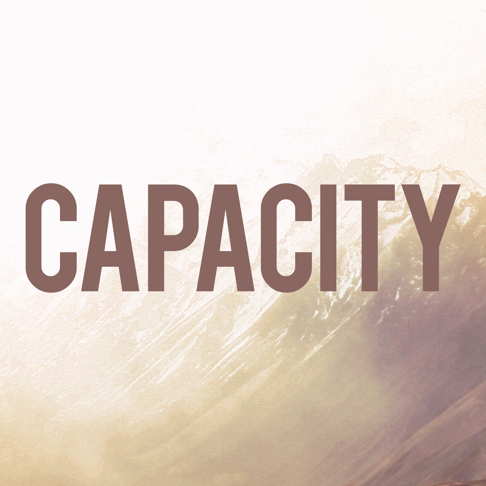 Capacity | The Promise Center Podcast
