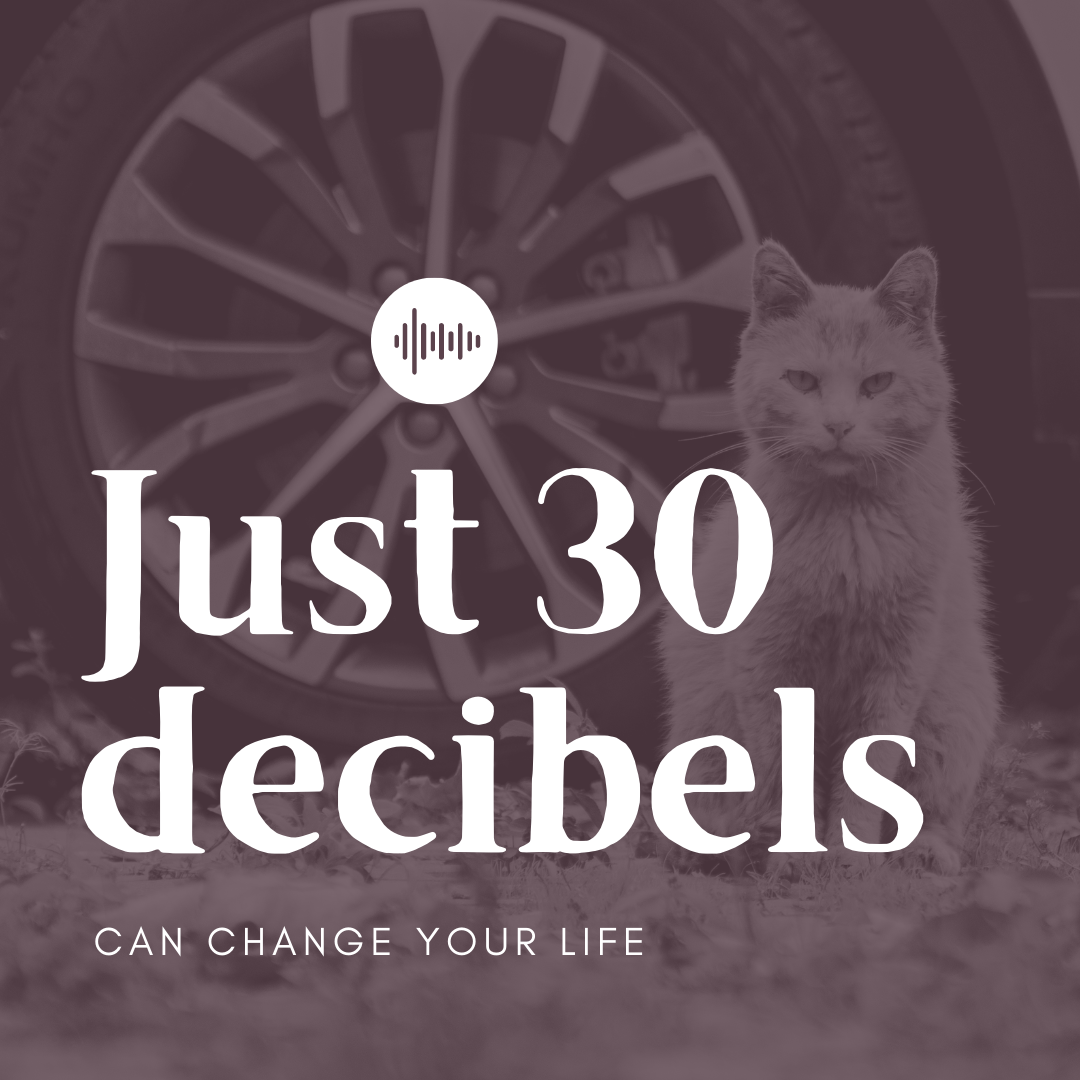 "Just 30 Decibels" can change your life- April 11th, 2021 | New Life ...